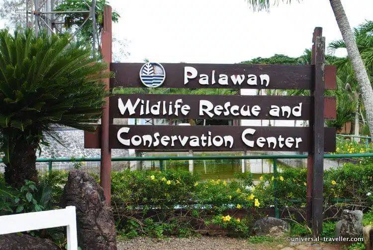 Crocodile Farm Palawan Wildlife Rescue Center in Puerto Princesa