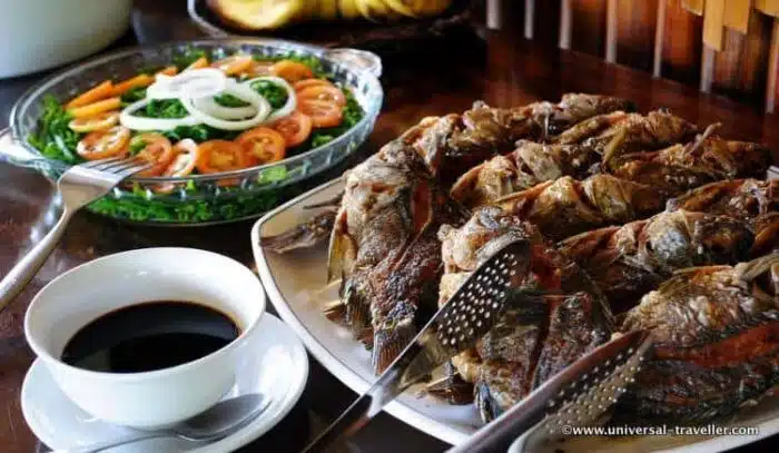 What to do in Bicol Philippines? Tips & Recommendations