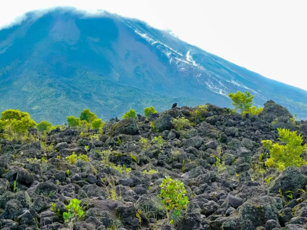 Arenal Volcano National Park Guide + Tours Recommendations