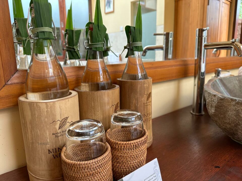 Munduk Moding Plantation (Bali) Review
